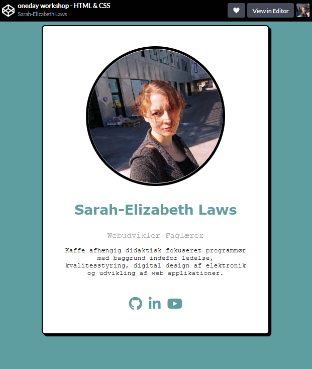 Webudvikler workshop